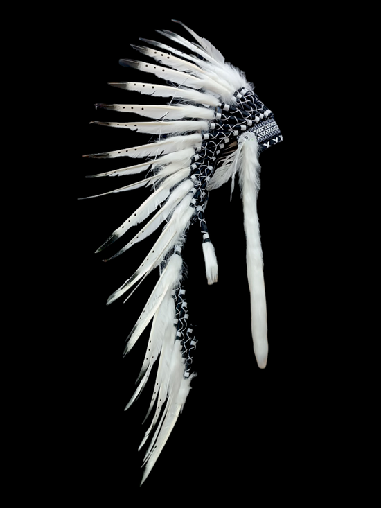 Penacho – Todo Accesorios Colombia