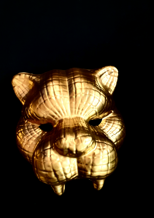 Máscara Puma – Todo Accesorios Colombia